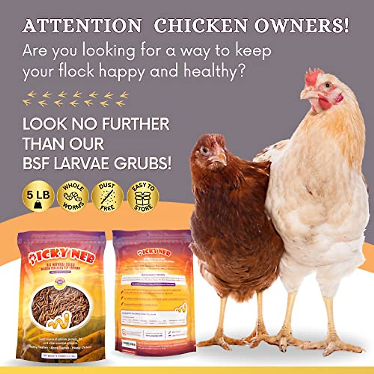PICKY NEB 100% Non-GMO Dried BSF Larvae Grubs (5 lbs) Bulk - Chicken Treats & Molting Supplement - High-Protein Immune System Booster Snack for Chickens - 85x More Calcium Than Mealworms