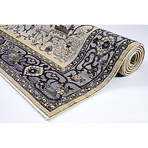 Pierre Cardin Cosmos Collection Oriental Design Area Rugs for Living Room Carpets (5' x 8', Multi (CS13D))