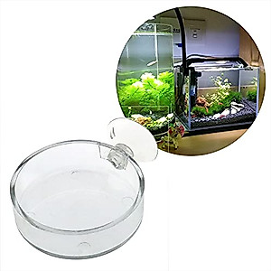 ZRM&E Aquarium Glass Feeder Shrimp Feeding Dish Transparency Acrylic Food Tray Container with Suction Cup Fish Tank Aquascape Decor, 6.5cm