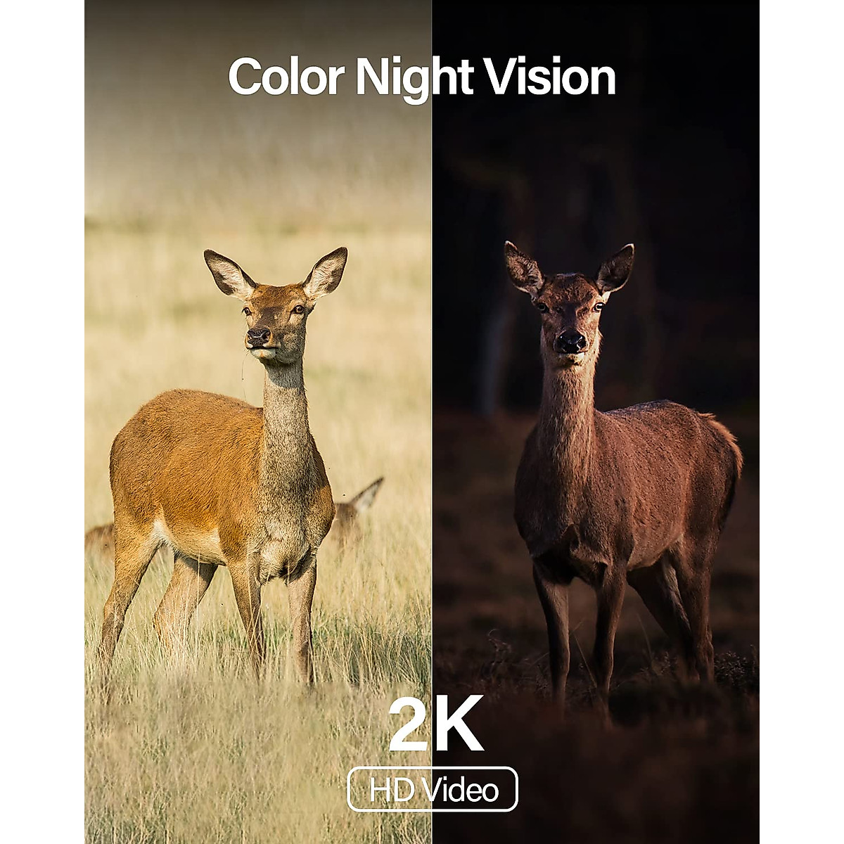 Oculview 4G LTE Cellular Security Camera, No Wi-Fi Needed Security Solar Cameras Wireless Outdoor with SIM Card, 2K HD Video, 360 View, Color Night Vision, PIR Motion