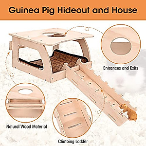 Haldane Guinea Pig Hideout - Wooden Small Animal Hideout with Mat & Ladder, Ventilated Small Animal House with Multiple Doors for Chinchilla Guinea Pig Hamsters Bunny
