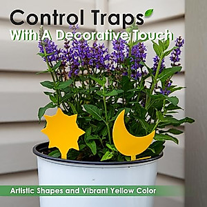 Classy Casita Yellow Sticky Traps - Fungus Gnat Trap, Houseplant Fly Control, Indoor and Outdoor Plant Insect Stakes, Potted Plants Mosquito Pest Bugs Catcher, Gifts for Plant Lovers - 24-Pack