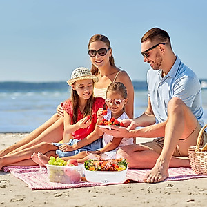 Electric Lunch Box,2 In 1 Portable Lunch Box Food Heater Upgraded Sealing Ring Waterproof And Leak-Proof For Car/Truck And Work 12v 110v 55w ,Stainless Steel Container Spoon Fork&Handbag