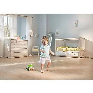 Hape Frog Pull-Along | Wooden Frog Fly Eating Pull Toddler Toy, 4.6 x 3.3 x 3.8 inches, Green