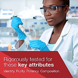 PROTOCOL FOR LIFE BALANCE NAC N-Acetyl Cysteine 1000mg - Glutathione Production & Respiratory Function - 120 Tabs