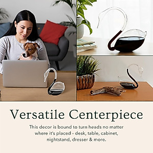 Blackswan Storm Glass Weather Predictor Crystal Swan Figurine | Unique Barometer Personal Weather Station for Office Home Decor for Men, Women, Kids, Adults | Liquid Pressure Meteorology Tools