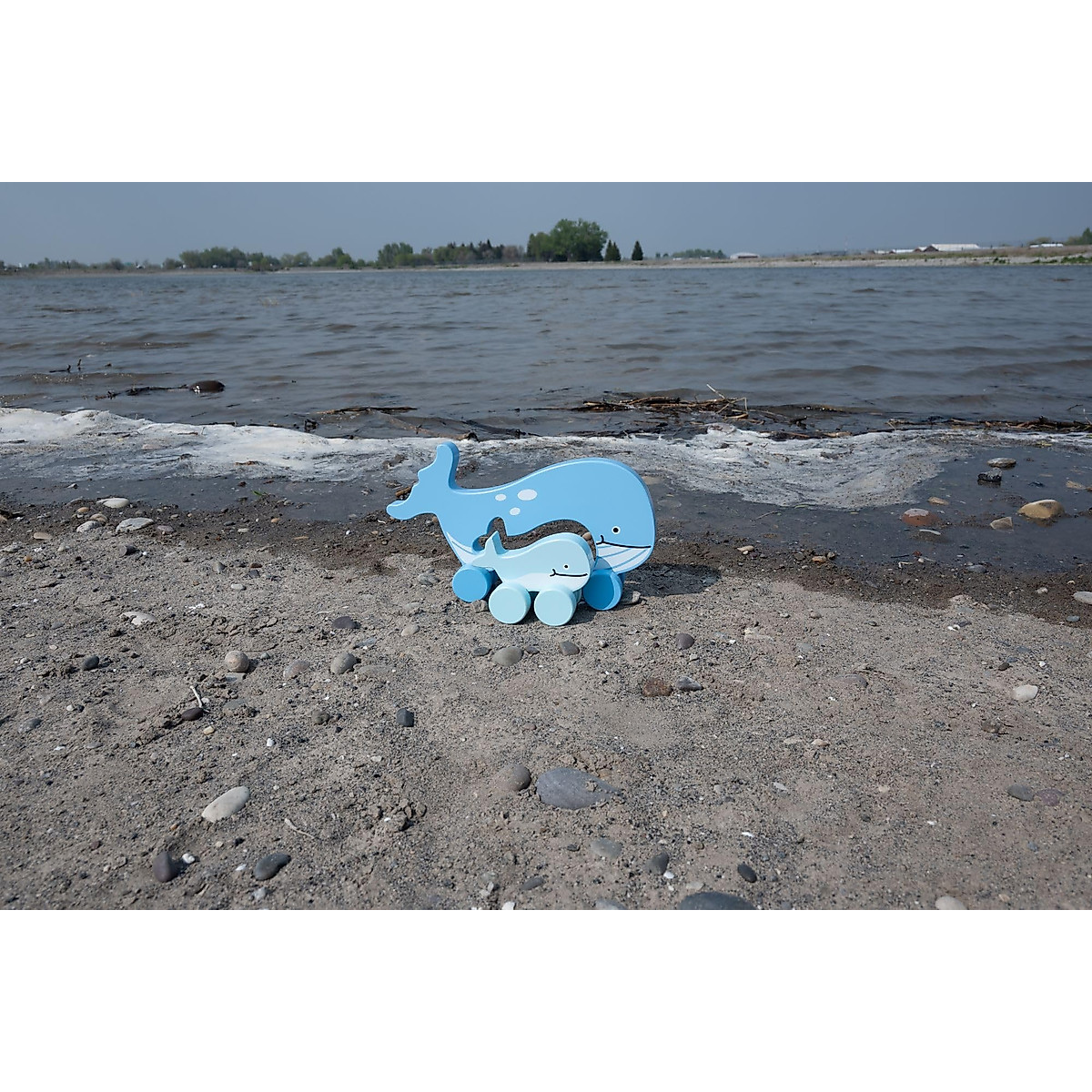 Big & Little Whale Push Toy by Jack Rabbit Creations- 2 in 1 Wooden Roller Animals- STEM Toys for Toddlers Develops Coordination- Ages 18 Months+