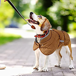 ASENKU Dog Coat for Winter Waterproof Dog Winter Coat Dog Jacket, Dog Hunting Vest for Small Medium and Large Dogs with Pocket & Zipper Leash Hook