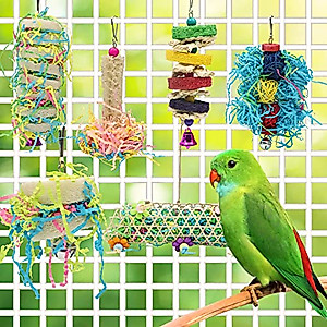 ZOCONE 6 Pcs Bird Toys, Parrot Foraging Chewing Toys, Bird Shredding Toys, Loofah Hanging Parakeet Toys, Cage Accessories for Cockatiels, Conure, Medium/Small Parrots, Finch, Lovebirds, Budgie