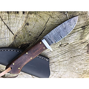 Perkin 6.5 Inches Damascus Steel Hunting Knife With Sheath SK300