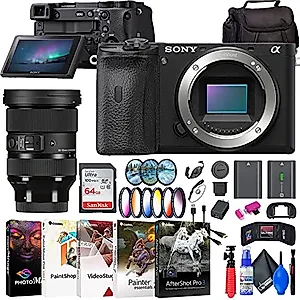 Sony a6600 Mirrorless Camera (ILCE6600/B) + Sigma 24-70mm f/2.8 Lens (578965) + Filter Kit + Color Filter Kit + Bag + NP-FZ100 Compatible Battery + 64GB Card + Card Reader + More