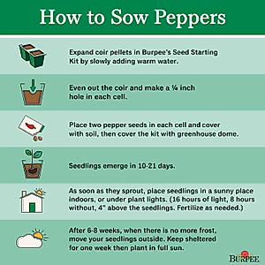 Burpee Caribbean Red Hot Pepper Seeds 30 seeds