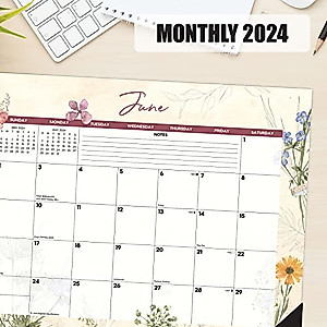 Willow Creek Press Botanical Garden Monthly 2024 Deskpad Calendar (22" x 17")