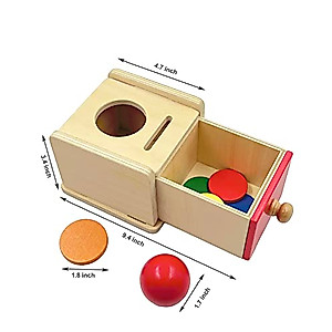 Dailyfunn Montessori Toys Coin&Ball 2-in-1 Drop Box Object Permanence Box for Infant Baby Preschooler 6-24 Months