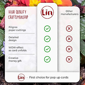 LINPOPUP, LIN17237, POP - UP 3D greeting card congratulations 18th birthday or driver's license - car voucher sports car (Large card 15 x 20 cm, graphite glossy), N145