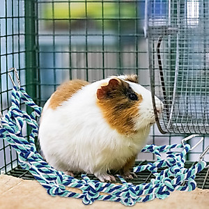 Berlune 6 Pcs Rat Ropes for Cage Rat Cage Accessories Climbing 12.6 x 9.84 Inch Bird Rope Toys for Pet Hammock Hamster Cotton Bridge Bird Ladder for Small Animal Habitat Play