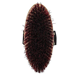 10PCS Horse Grooming Care Kit Professional Horse Cleaning Tool Set Horse Brush Set Horse Grooming Clean Accessories with Brush Curry Comb