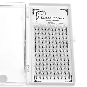 120Pcs 10Roots Individual Cluster Fake False Eye lashes Thickness 0.07mm D Curl Volume Premade Fans Eyelashes Extension 8-16mm to Choose (13mm)
