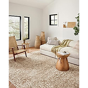 Loloi II Neda Collection NED-02 Ivory/Sand, Transitional 3'-6" x 5'-6" Accent Rug