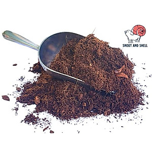 Snout and Shell Coco Peat Reptile & Amphibian Bedding 1.4 lbs - Perfect for Frogs, Salamanders, Geckos & Snakes Tunneling - 100% Organic Coconut Husks - 650 Grams, Brown