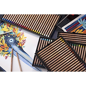 Caran d'Ache Luminance 6901 Box of 100 Individual Coloured, Artists, Colour Coded Pencils & 1 Full & 1 Pencil Blender