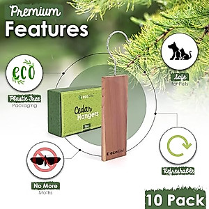 ecoKiwi Cedar Blocks for Clothes Storage - 10 Pack Hanging Cedar Planks - Natural Cedar Chips for Closets and Drawers - Cedar Wood Hangers with Sandpaper - Cedarwood Scent Freshener Protection Control