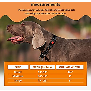 JuWow Nylon Martingale Collar, Adjustable Pet Slip Collar with Breakaway Buckle for Medium Large Dogs, Reflective Stitching Collar for Safe Training Walking (Large:17-22" * 1", Blue)