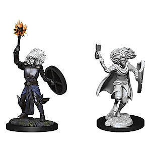 D&D Nolzur's Marvelous Miniatures: Changeling Cleric