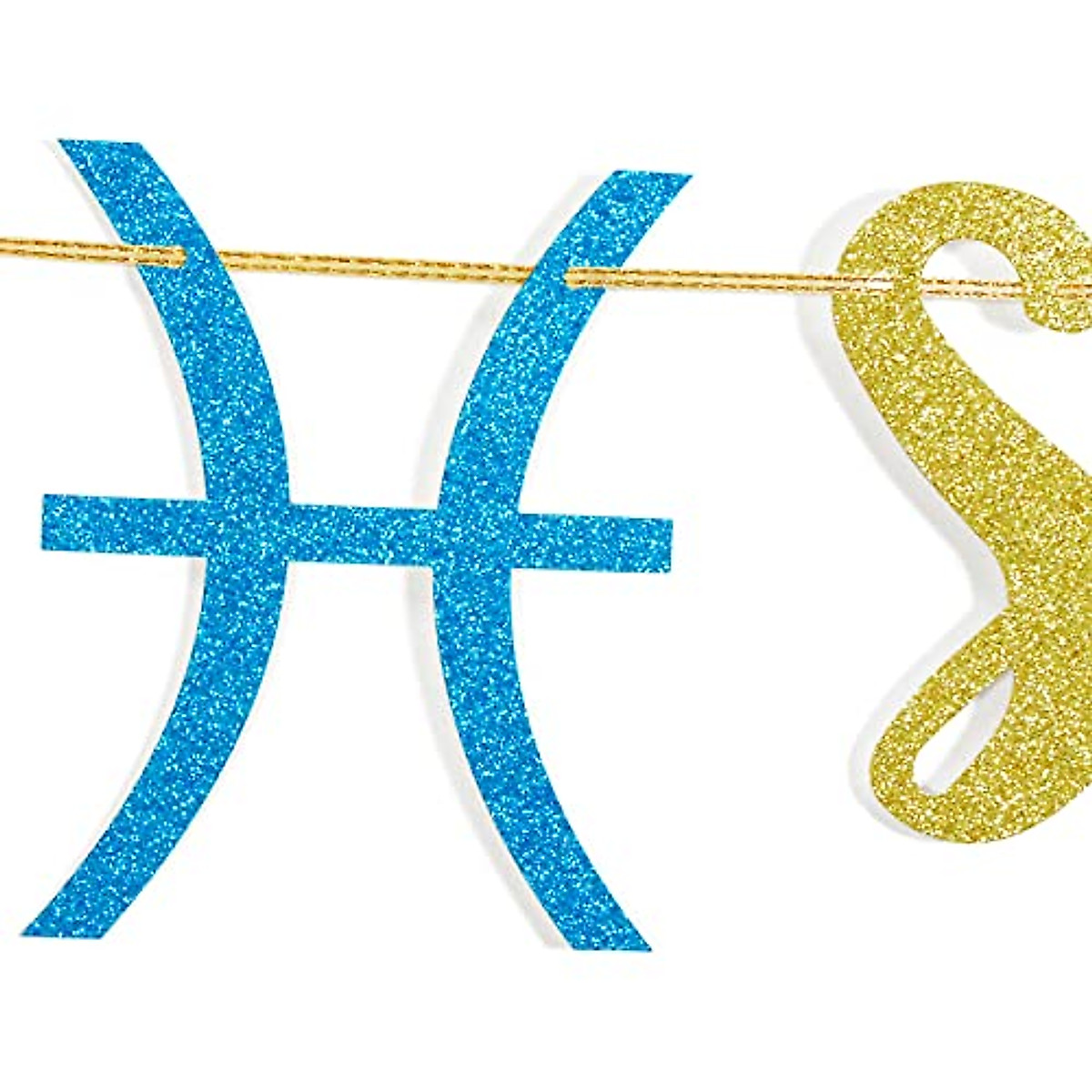 Pisces Season Birthday Banner Zodiac Birthday Party Decorations February March Astrology Sign Gold Glitter String Decor