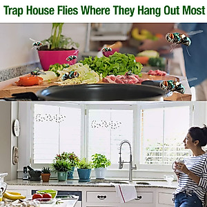 SEEKBIT 40 Pack Sticky Cockroach Traps on The Wall, Window Fly Traps for House, Clear Bug Killer Indoors, Fly Catcher Sticky Trap for Ladybugs, Gnats, Houseflies Glue Traps Keep Flying Insects Away