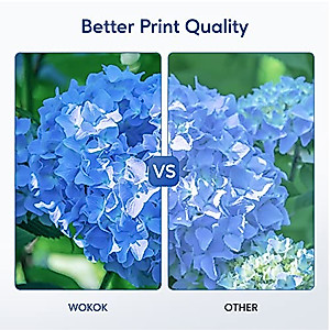 WOKOK Compatible Ink Cartridge Replacement for Brother LC30195PK (2 Black 1 Cyan 1 Magenta 1 Yellow, 5-Pack) Super High Yield, Work on Brother MFC-J6930DW MFC-J6530DW MFC-J5330DW MFC-J6730DW Printer