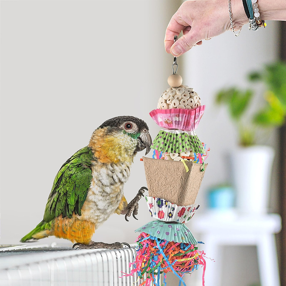 Bissap Conure Toys, Bird Parrot Foraging Shredder Hanging Toys 2 Sola Balls Wooden Block Tassels with Bell for Small Parrots Parakeets Conures Cockatiels Love Birds Cage Toy