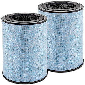 2 Pack for Instant AP300 Filter Replacement, H13 True HEPA Filter, and Activated Carbon Filter, Compatible with Instant AP300, Compare to F300 Filter
