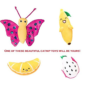 Aurora Pet Cat Treats Variety Pack (6) Dentalife Dental Treats Bundle: 3 Tasty Chicken, 3 Savory Salmon (1.8 oz Each) Plus AuroraPet Catnip Toy (Assorted)