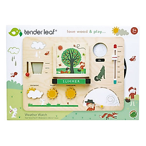 Tender Leaf Toys - Weather Watch - Educational Wooden Weatherboard for Kids - Perfect Climate Teaching Toy Station for Kids to Play and Learn for Age 3+