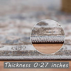 CHAMPLANT Washable Area Rug 5x7 for Living Room Retro Boho Chic Medallion Distressed Design Indoor Non-Slip Large Persian Oriental Accent Throw Rug for Kitchen Bedroom Office Carpet