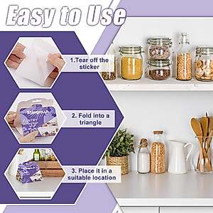 10 Pack Pantry Moth Traps, Sticky Glue Trap for Food and Cupboard, Moth Repellent for Closets, Safe for Child and Pets