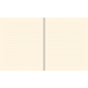 Cosmology Journal (Diary, Notebook)