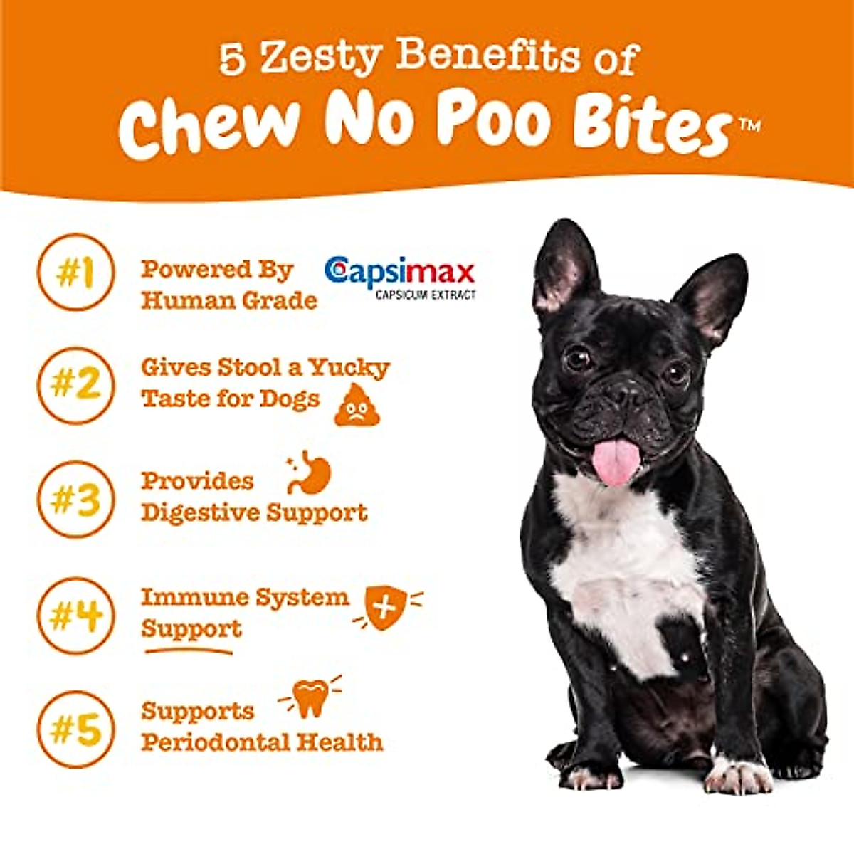 Zesty Paws Chew No Poo Bites - Coprophagia Stool Eating Deterrent for Dogs Deter Stop Dog from Eating Feces Probiotic Digestive Enzymes Breath Freshener - Chicken Flavor, 90 Soft Chews