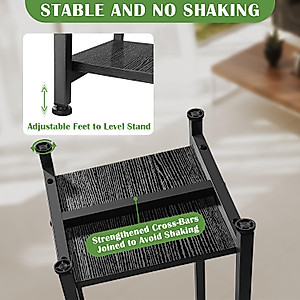 Dipion Tall Plant Stand Indoor,31 Inch Plant Stands,2 Tier Metal Plant Stand with Heavy Duty Wood,Black