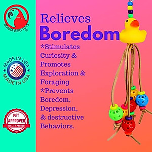 Bonka Bird Toys 2325 Ducky Spyder Small Medium Bird Toy Durable Plastic Leather Duck Bead Foraging Ball Button Cockatiels Parakeets Conures and Other Similar Sized Birds