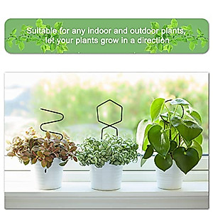 CREPUSCOLO 4 Pcs Metal Trellis for Indoor Potted Plants, Mini Plant Support Stake for House Climbing Plants, Plants Trellis for Garden Potted Plant, Pothos, Flower