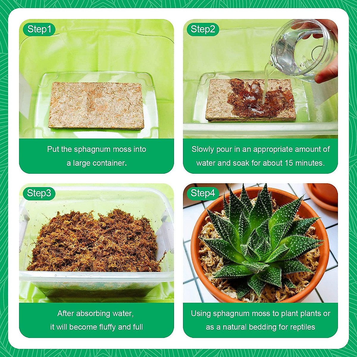 Mostopiaryart Sphagnum Moss Perfect for Plant Propagation, Extremely Strong Water Absorption Ability, Help with Maintain Humidity(3.5OZ)