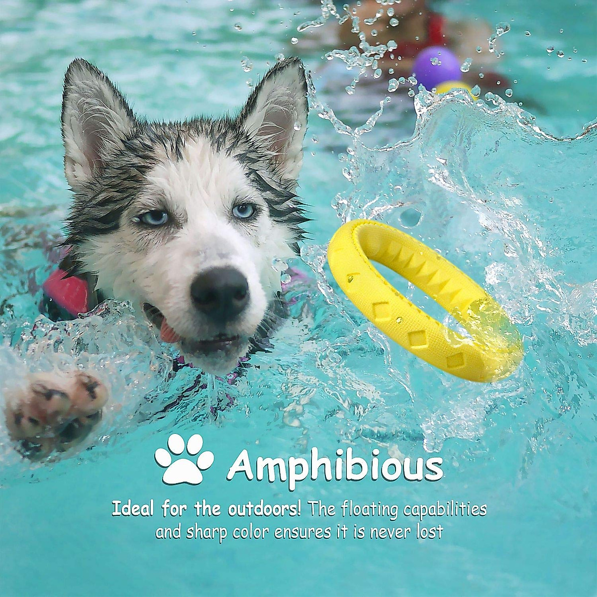 Fluffy Paws Dog Chewing Ring - Soft Rubber Ring Dental Chewing Teething Biting Chasing Training Toy for Small and Medium Dog Puppy - 7", Yellow