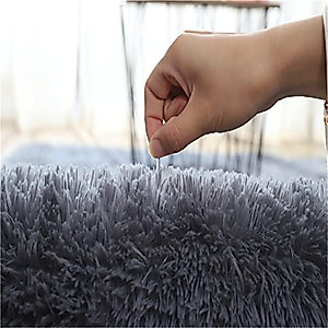 60x120CM Non Slip Bedroom Carpet, Floor Mat, Indoor Living Room Plush Carpet, Home Decoration