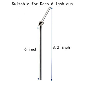 Stainless Steel Straws - 8 Pcs Skull Decor Halloween Reusable Drinking Straws + 2 Pcs Straw Squeegee for Suitable cup depth 6 Inch (Silver Canine Teeth)