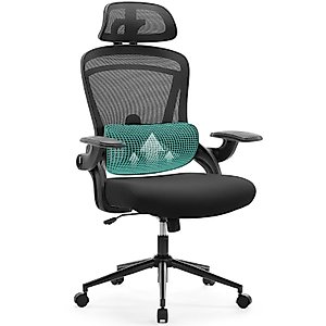 Ergonomic Mesh Office Chair, High Back Desk Chair with 2D Headrest, Up&Down Lumbar Support, Swivel Computer Task Chair with Adjustable Flip-up Armrests, Black