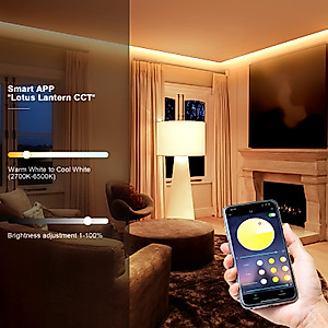 Wefomey COB LED Strip Light White CCT Tunable 3200LEDs, 16.4ft Dimmable 2700K-6500K 24V LED Tape Lights with Remote and APP, UL Power Supply, Led Light for Bedroom, Kitchen, Cabinets, DIY Lighting