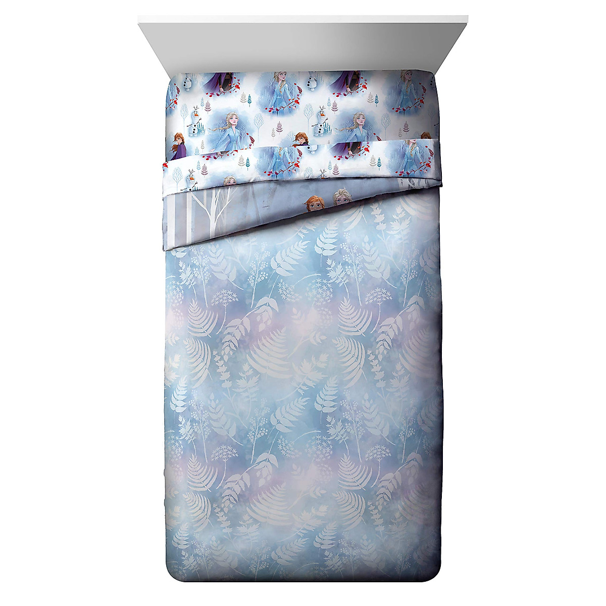 Jay Franco Frozen 2 Forest Spirit Bed Set, Twin