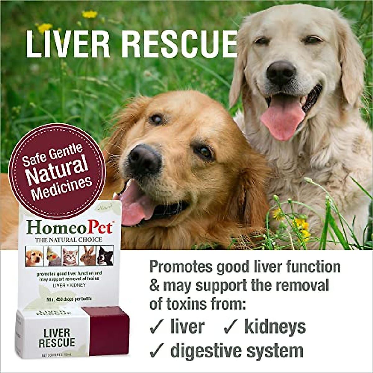 HomeoPet Liver Rescue, Natural Liver Support for Pets, 15 Milliliters